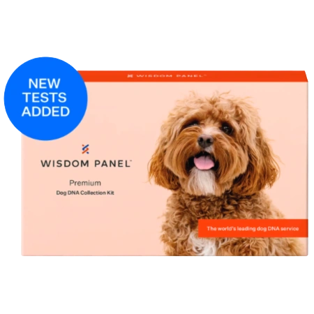 Wisdom Panel: Unraveling the Genetic Secrets of Your Pet - The Pet Picks